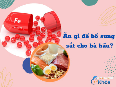 Ăn gì bổ sung sắt cho bà bầu? Top 5 món ăn bổ sung sắt cho bà bầu