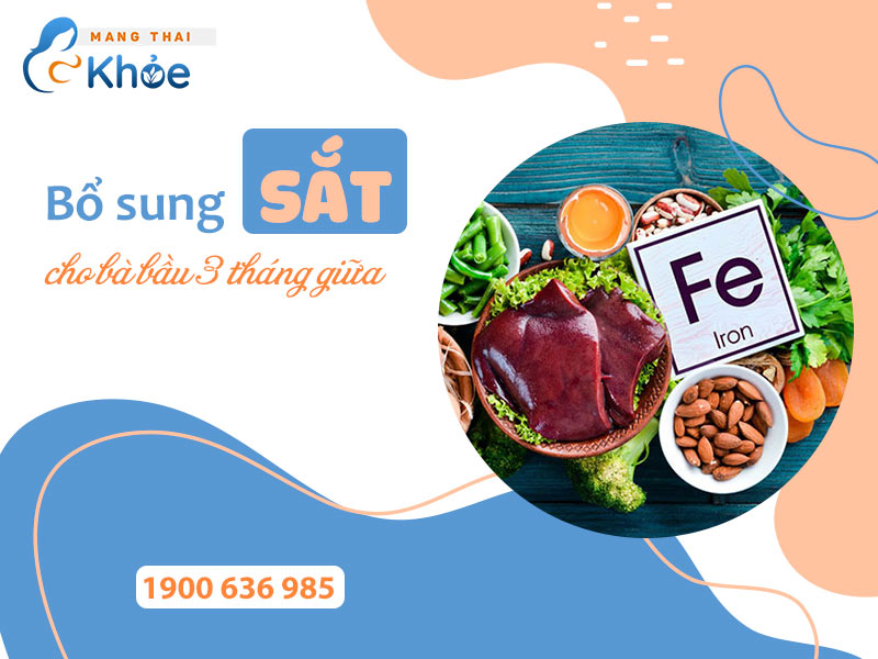 Bổ sung sắt cho bà bầu 3 tháng giữa như thế nào cho Đúng và Đủ?